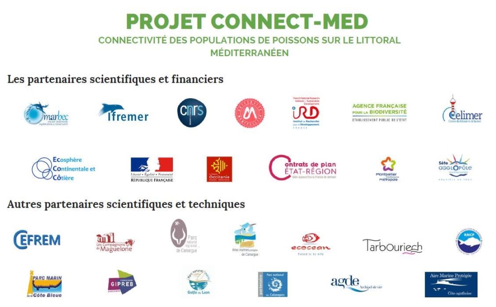 Projet CONNECT-MED - Pôle lagunes