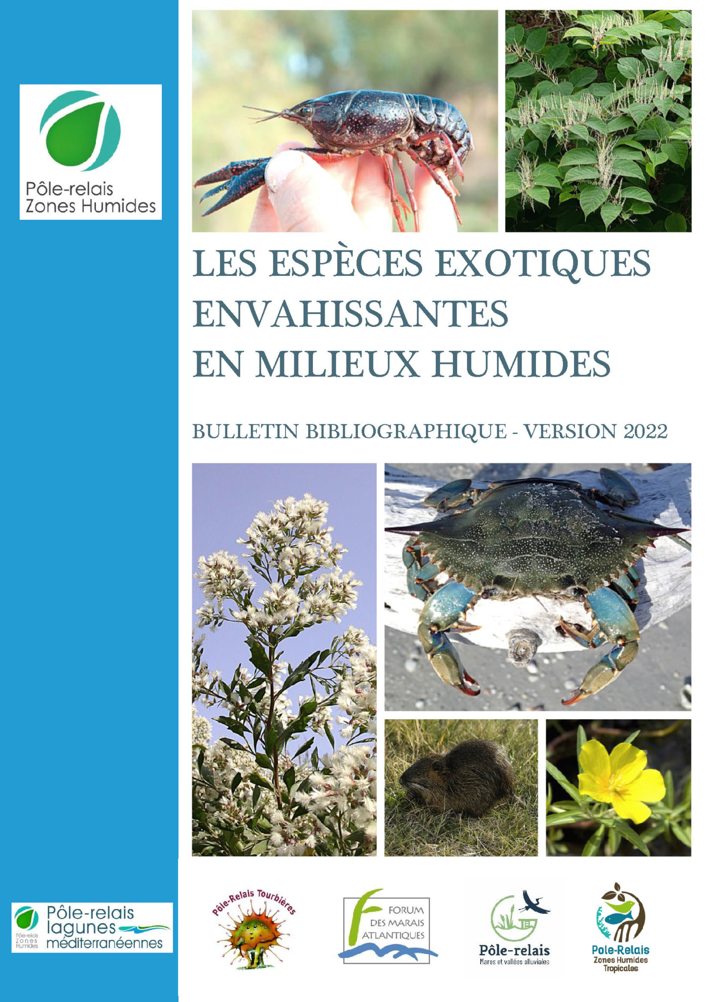 Les espèces exotiques envahissantes en milieux humides